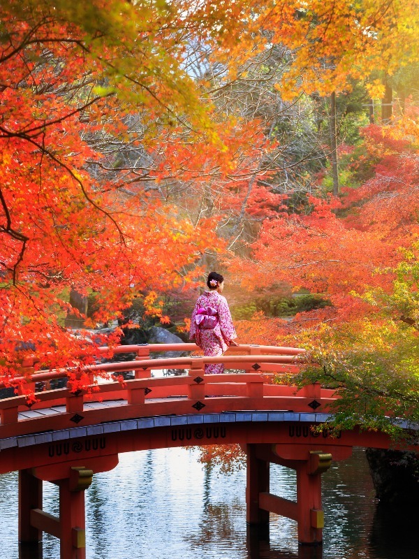Japan Weather in November 2025: Best Autumn Month, Travel Tips