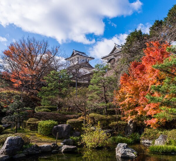 Kanazawa Travel Guide - How to Plan Your Trip to Kanazawa