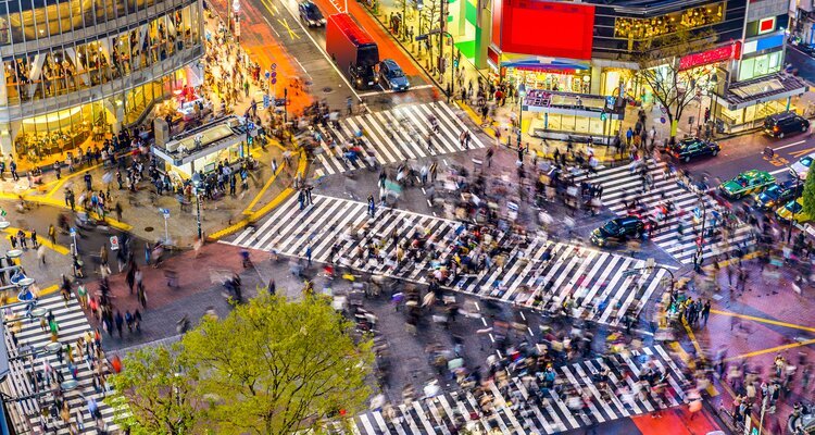 Tokyo Tourist Map: Plan Your Trip with Attractions and Neighborhoods