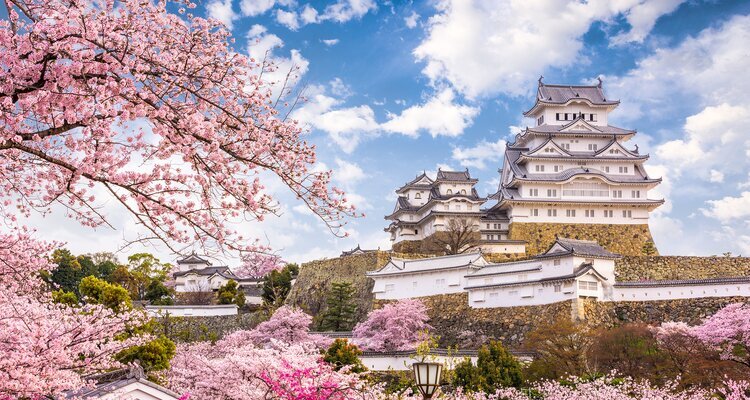 6 Best Reasons Why Visit Japan: More Than Culture & Food
