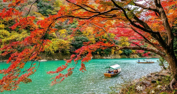 Best (and Worst) Times to Visit Osaka 2026: Weather, and Tips