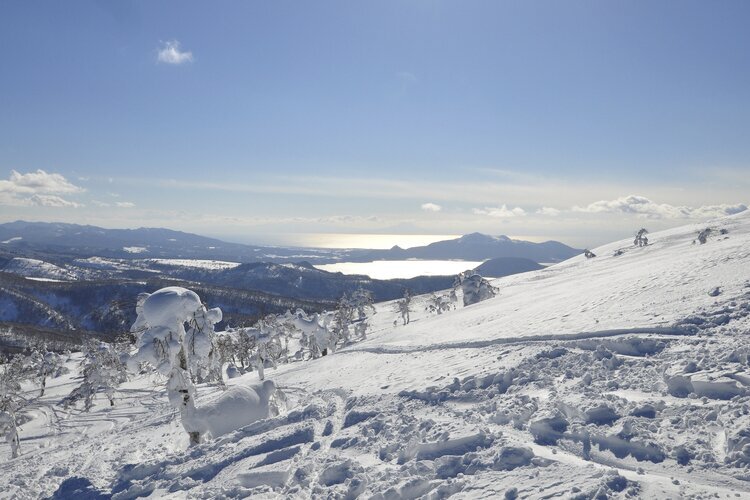 Japan Weather in November 2025: Best Autumn Month, Travel Tips