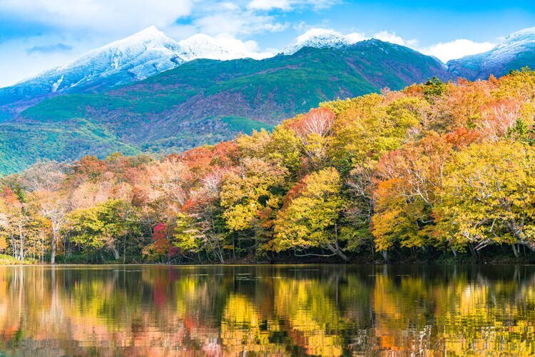 Japan Weather in September 2026: Tips for Traveling During Typhoon Season