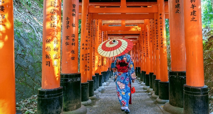 Japan Weather in February 2026: How to Make the Most of Japan's Winter