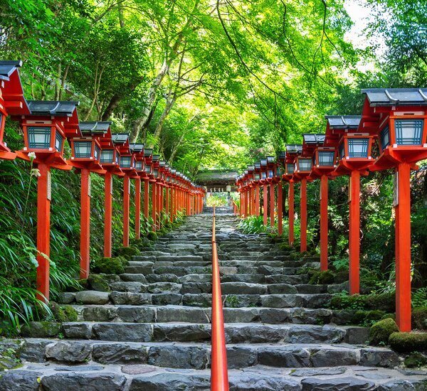 Japan Rainy Season 2026: Weather and Travel Tips
