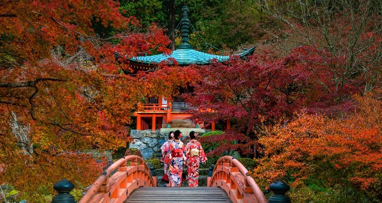Best (and Worst) Times to Visit Kyoto in 2025