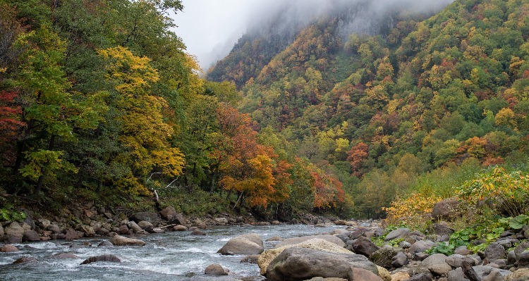 Japan Weather in September 2025: Is It a Good Time to Travel?