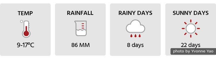 Japan Weather in November 2025: Best Autumn Month, Travel Tips