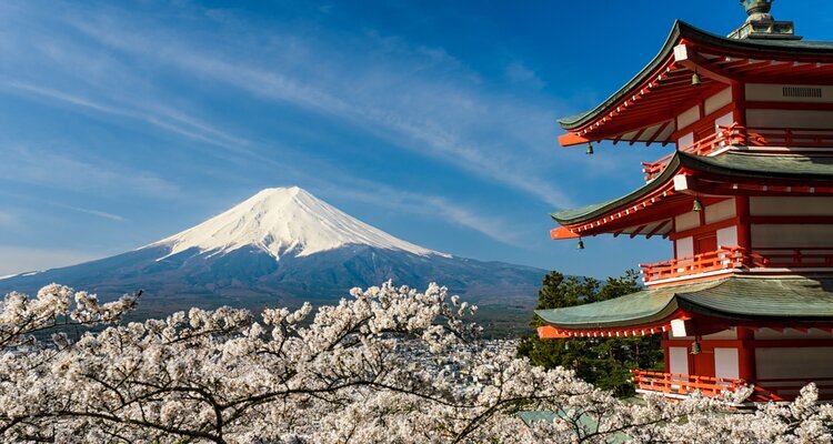 Japan Weather in April 2026: Travel Tips for First-Timers
