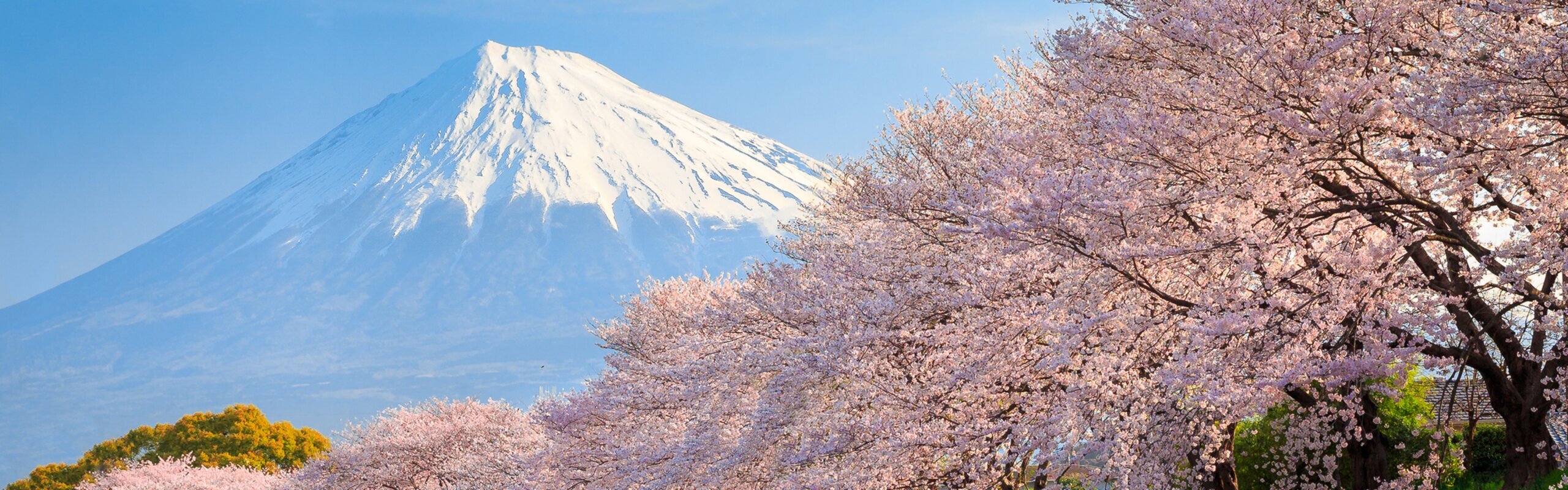 Japan vs South Korea: Which is Better for Your First Asia Trip?