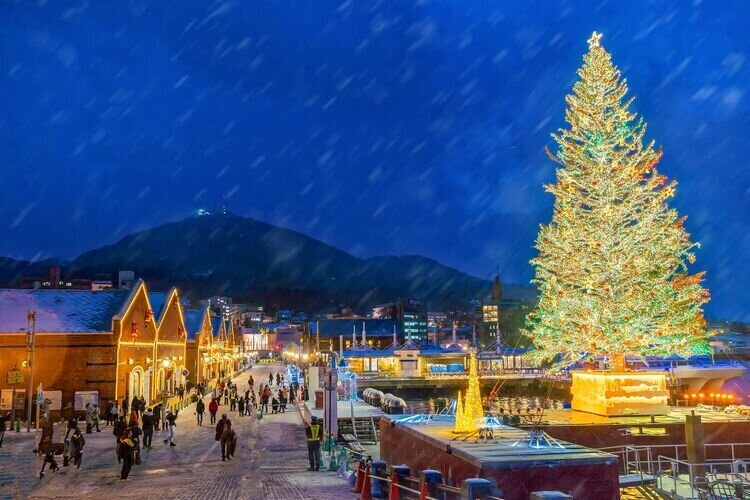 Christmas in Japan: Travel Tips to Know Before You Go