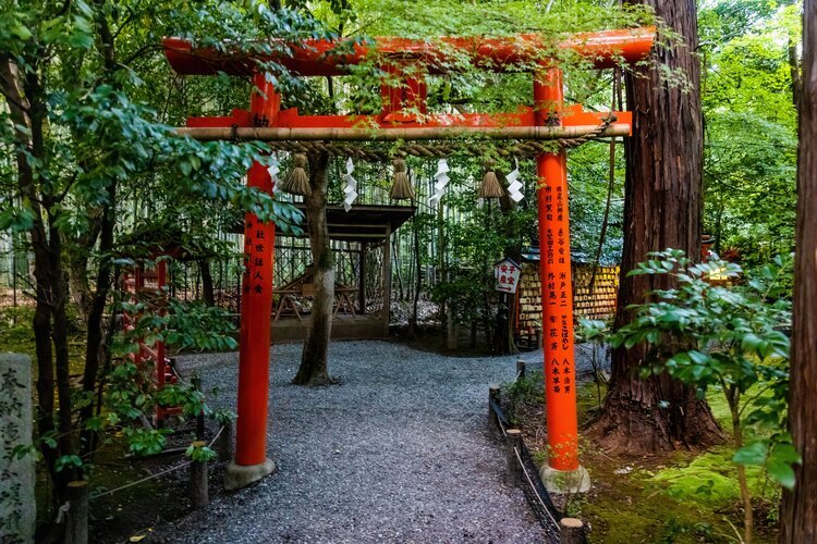 Kyoto Weather in July: Travel Tips for the Rainy and Hot Season