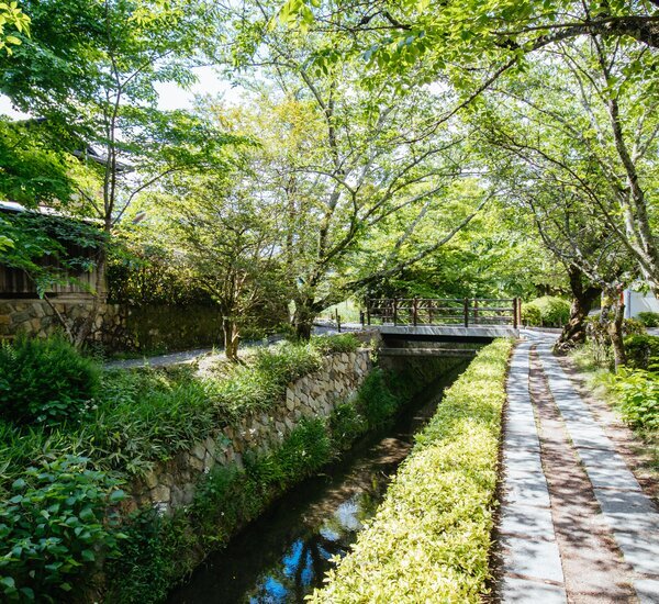 Kyoto’s Weather in June: Travel Tips for the Rainy Season