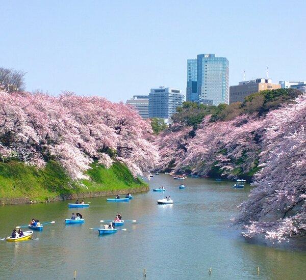 Tokyo Weather in April 2026: Top Things, Clothing, & Travel Tips