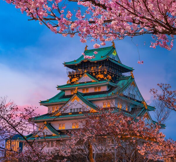Osaka Cherry Blossom 2026 - 7 Best Places to See and When to See