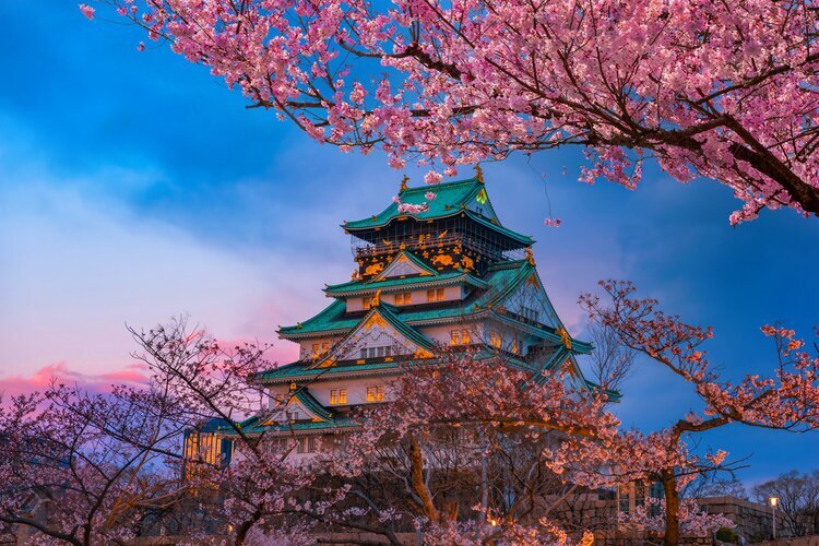 Japan in March 2026: Weather, Clothing, Places, and Fun Things