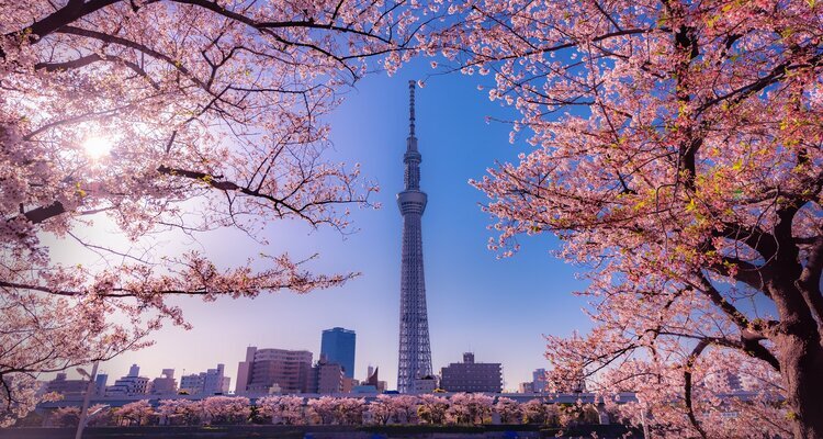 Tokyo Weather in April 2026: Top Things, Clothing, & Travel Tips