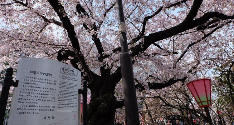 Osaka Weather in April 2026: Weather and Travel Tips