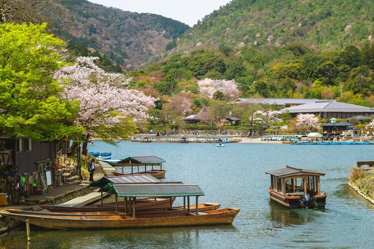 Kyoto in April 2026: Weather, Cherry Blossoms, and Top Experiences
