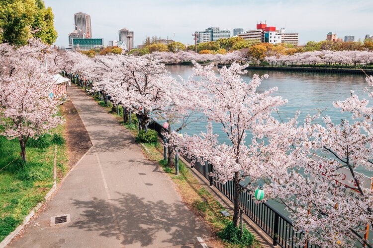 Osaka Weather in April 2026: Weather and Travel Tips