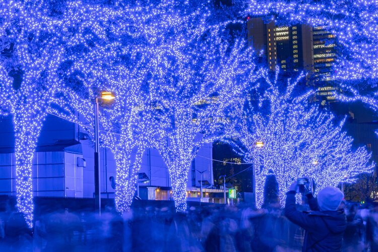 Tokyo Weather in December - Weather, Climate and Travel Tips