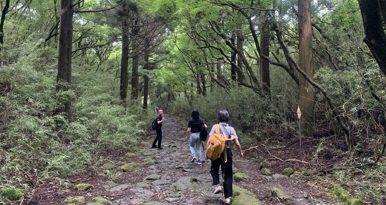 What to Do in Hakone: Best 10 Things with Helpful Tips