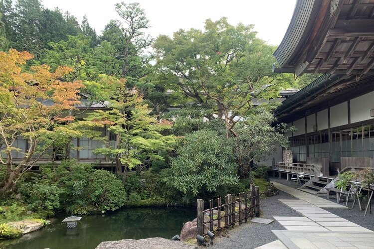 Mount Koya Travel Guide: How to Plan Your Trip to Mount Koya From Osaka