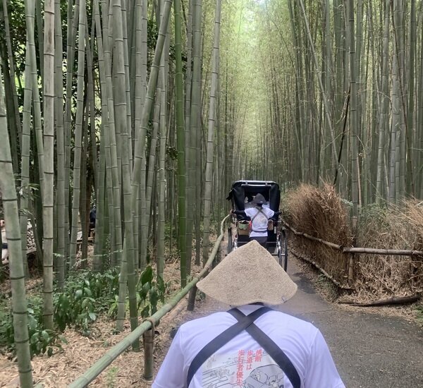 Kyoto Weather in September 2026- Travel Tips for the Typhoon Season