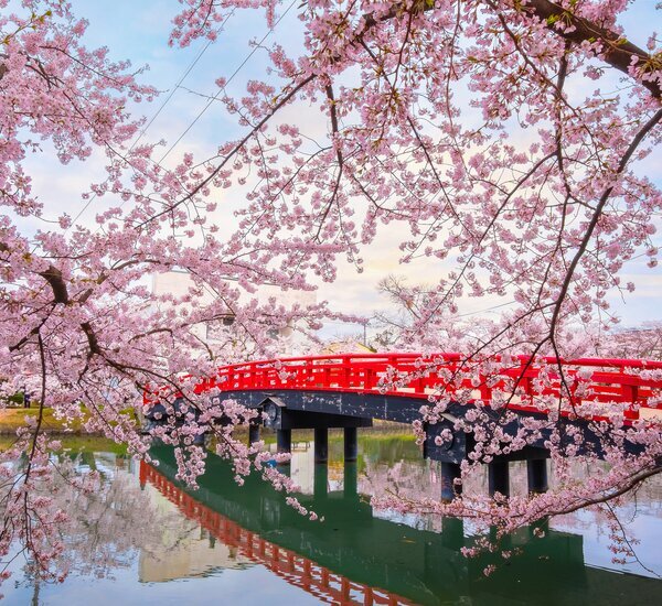 Japan's Golden Week 2026 - Travel Tips for a Successful Trip