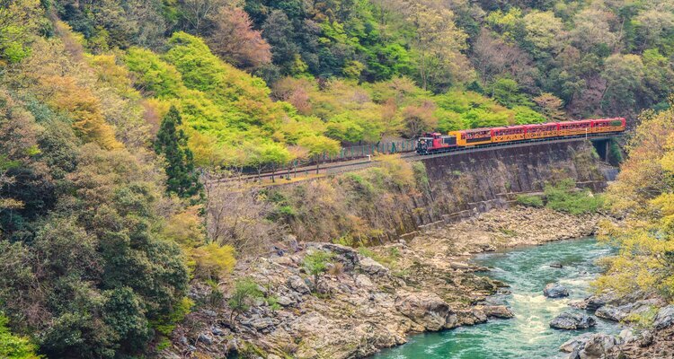 Japan Winter Tour: 12 Days of Magic, Fully-Customizable
