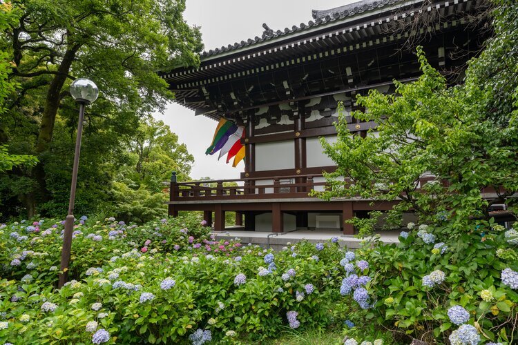 Kyoto’s Weather in June: Travel Tips for the Rainy Season
