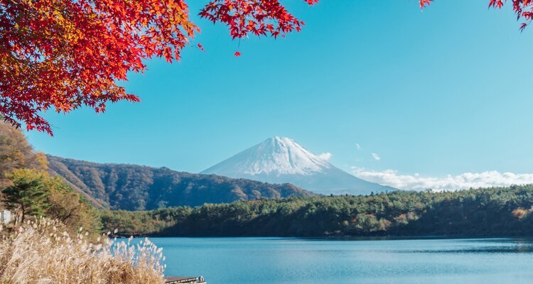 Tokyo Weather in October: Is it a Good Time to Visit Tokyo