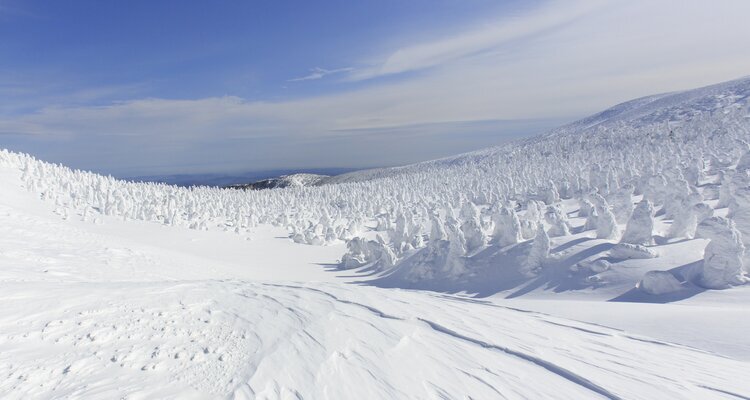 Where to Ski in Japan: 9 Best Ski Resorts & Selection Tips