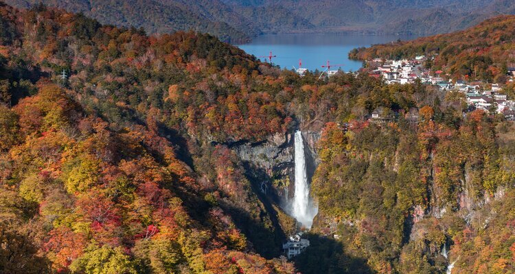 Tokyo Weather in October: Is it a Good Time to Visit Tokyo
