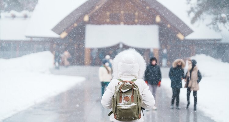 Japan's Sapporo Snow Festival 2026: Date, Activities and Travel Tips