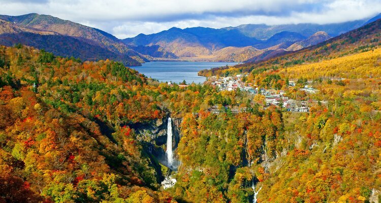 Japan Fall Foliage 2026: How to Plan the Perfect Autumn Trip