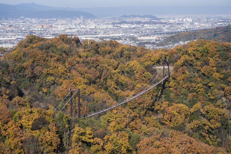 Top 17 Day Trips from Osaka: Choosing Your Perfect Destination