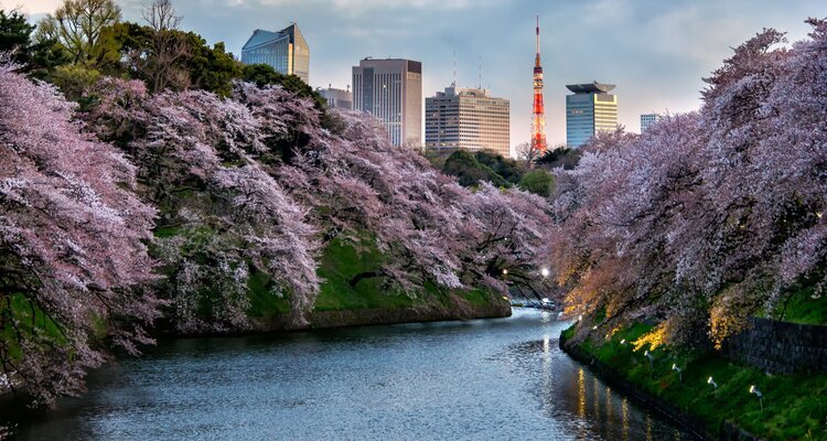 10-Day East Asia Three Capitals Tour: Seoul, Beijing & Tokyo