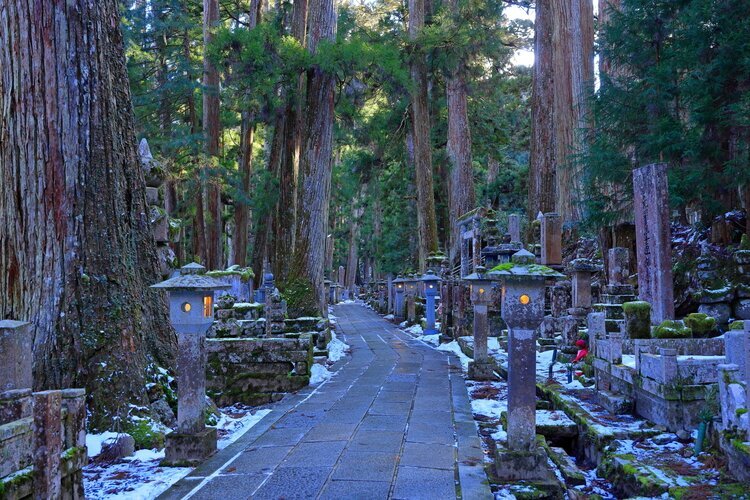 Mount Koya: a Guide to Visit a Sacred Site