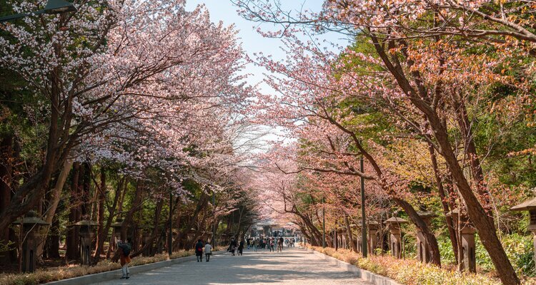 Hokkaido Weather in April 2026: More Sunny Days but Still Cold