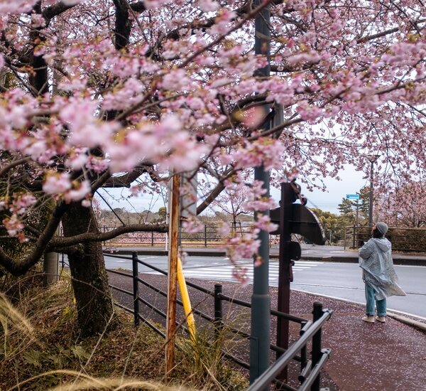Hokkaido Weather in April 2026: More Sunny Days but Still Cold