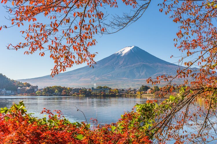 Japan Fall Foliage 2025/2026: How to Plan the Perfect Autumn Trip
