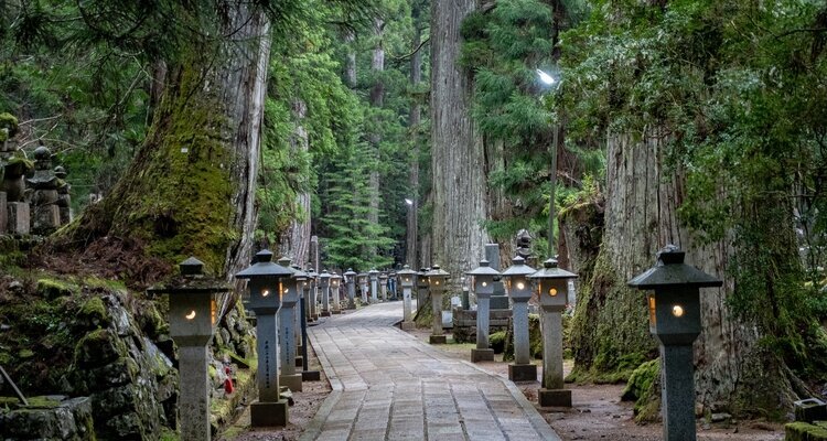 12 Best Hiking Trails in Japan: Selected Easy and Scenic Routes