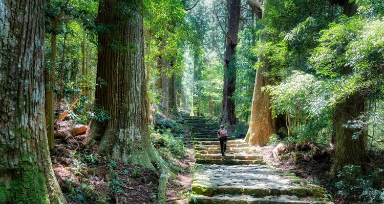 12 Best Hiking Trails in Japan: Selected Easy and Scenic Routes