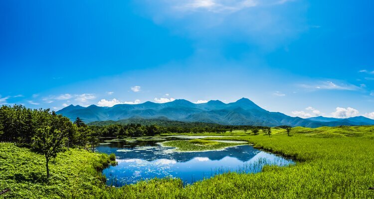 Hokkaido Weather in August 2026: Japan's Coolest Summer Escape