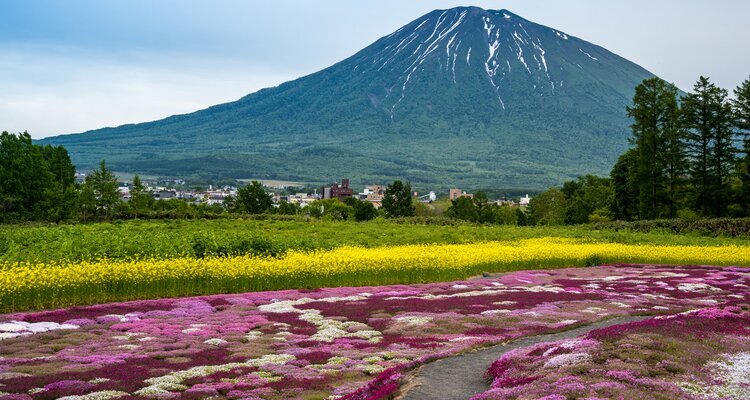 Japan Weather in June 2026: How to Enjoy Japan during the Rainy Month