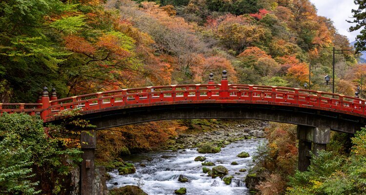 Nikko Fall Foliage 2025: When and Where to See