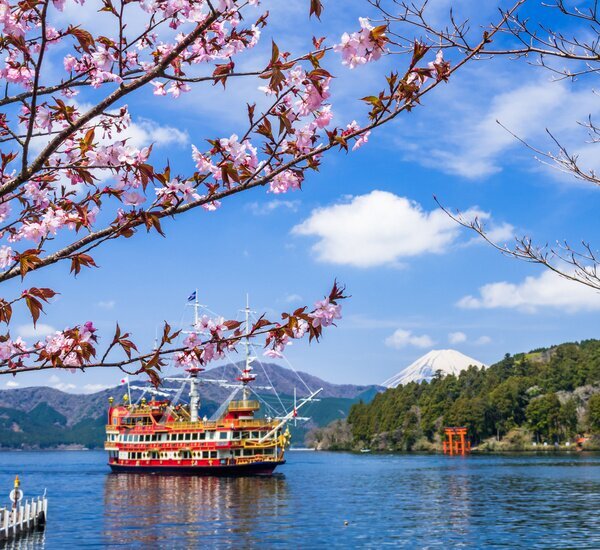 Tokyo Hiking: Top 8 Easy Trails for Beginners to Enjoy Nature Walks