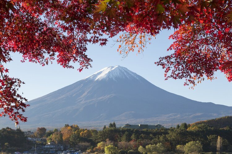 Japan Weather in November 2025: Plan Now for Peak Autumn Colors