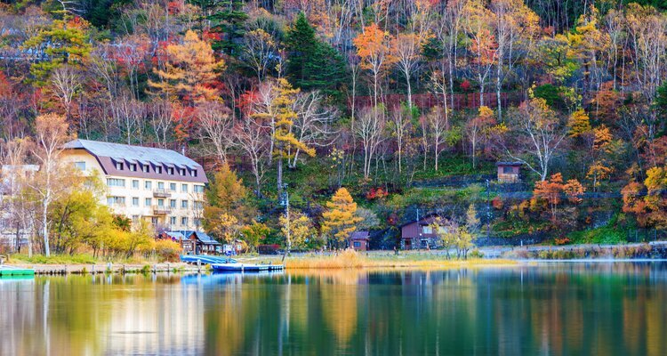 Nikko Fall Foliage 2026: When and Where to See